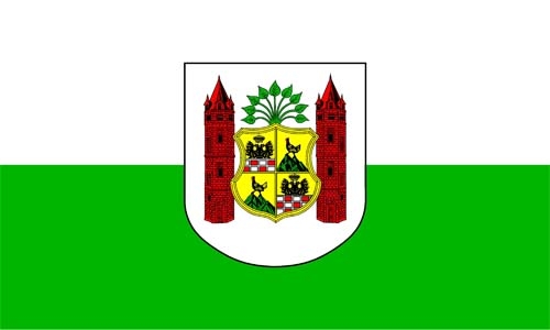 Vaud / Waadt Drapeau