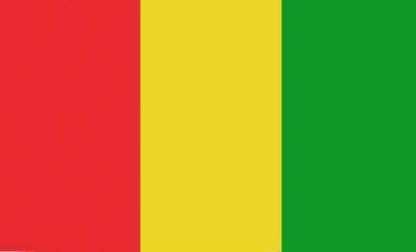 Carlow Flagge 90x150 cm bestellen, Carlow Flagge 90x150 cm kaufen