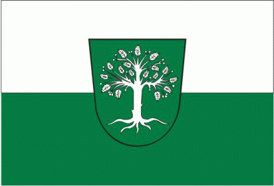 Bocholt Stadt Flagge 90x150 cm (E) | 900000250